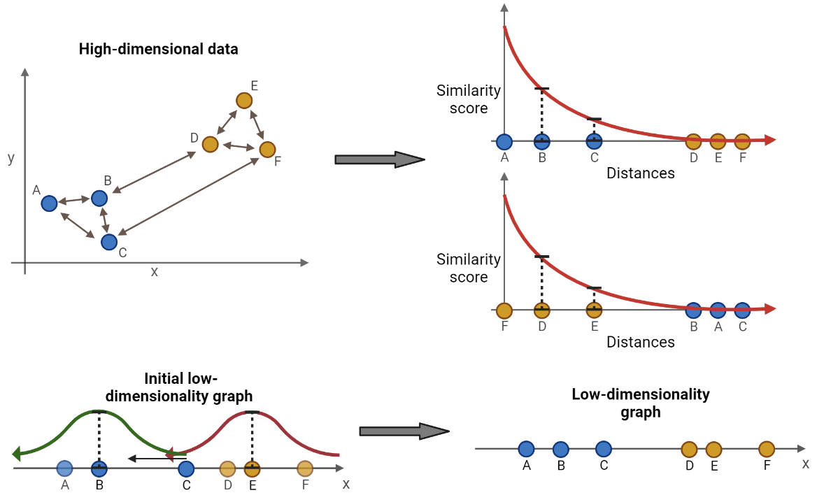 BioStatistics - 13 Uniform Manifold Approximation and Projection